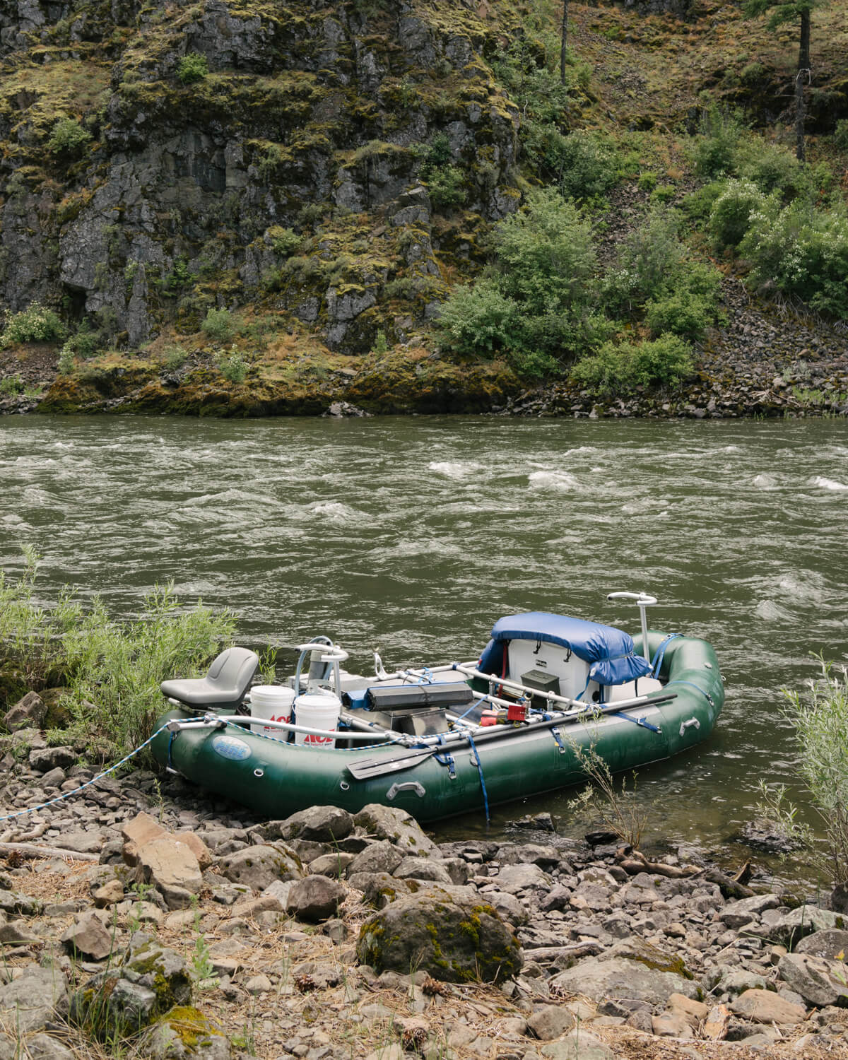 How to Hunt Bears from Boats