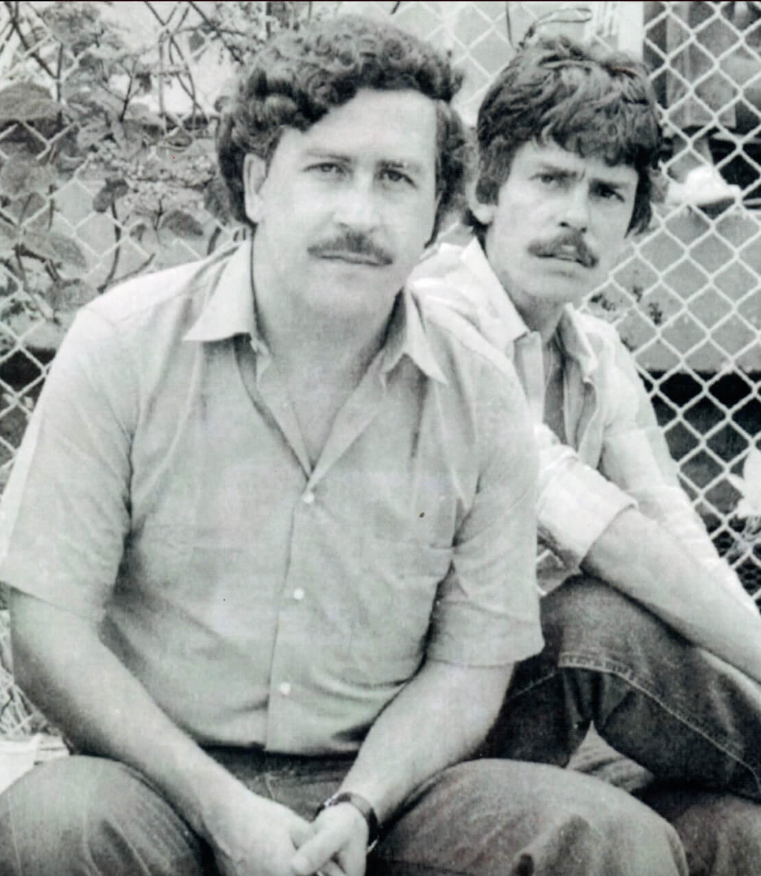 Pablo's Hippos: The Death of the Most Dangerous Man in the World