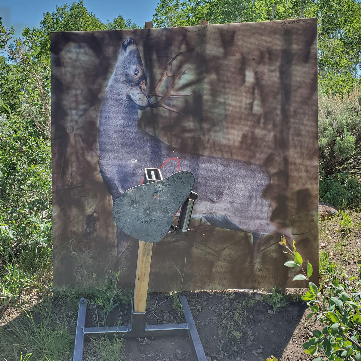 17 Facts about the SIG SAUER Hunter Games and a Sneak Peek at SIG's NEW ...