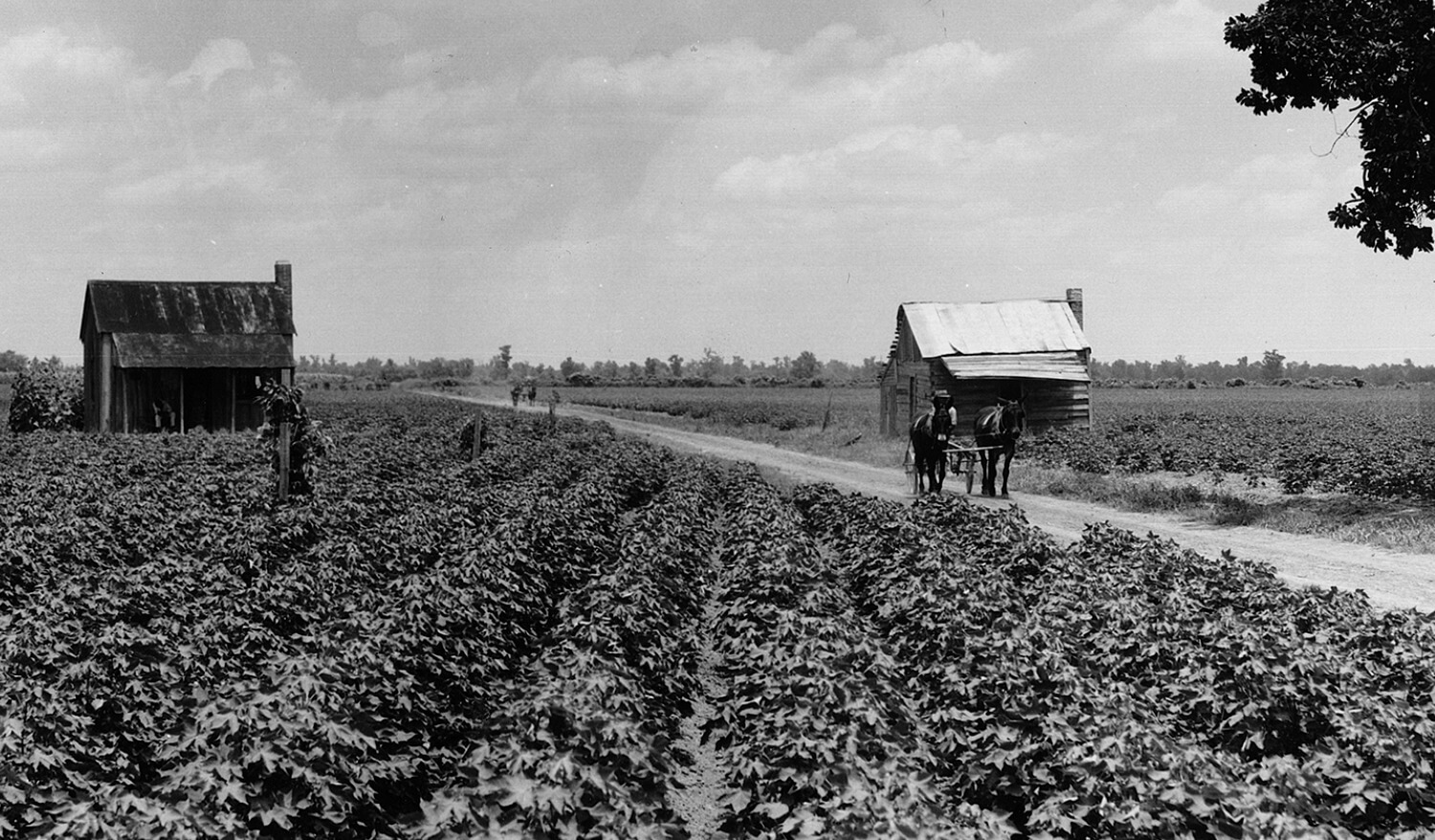"Old Jack" Hinson: Civil War Sniper Back When Sniping Wasn't Cool