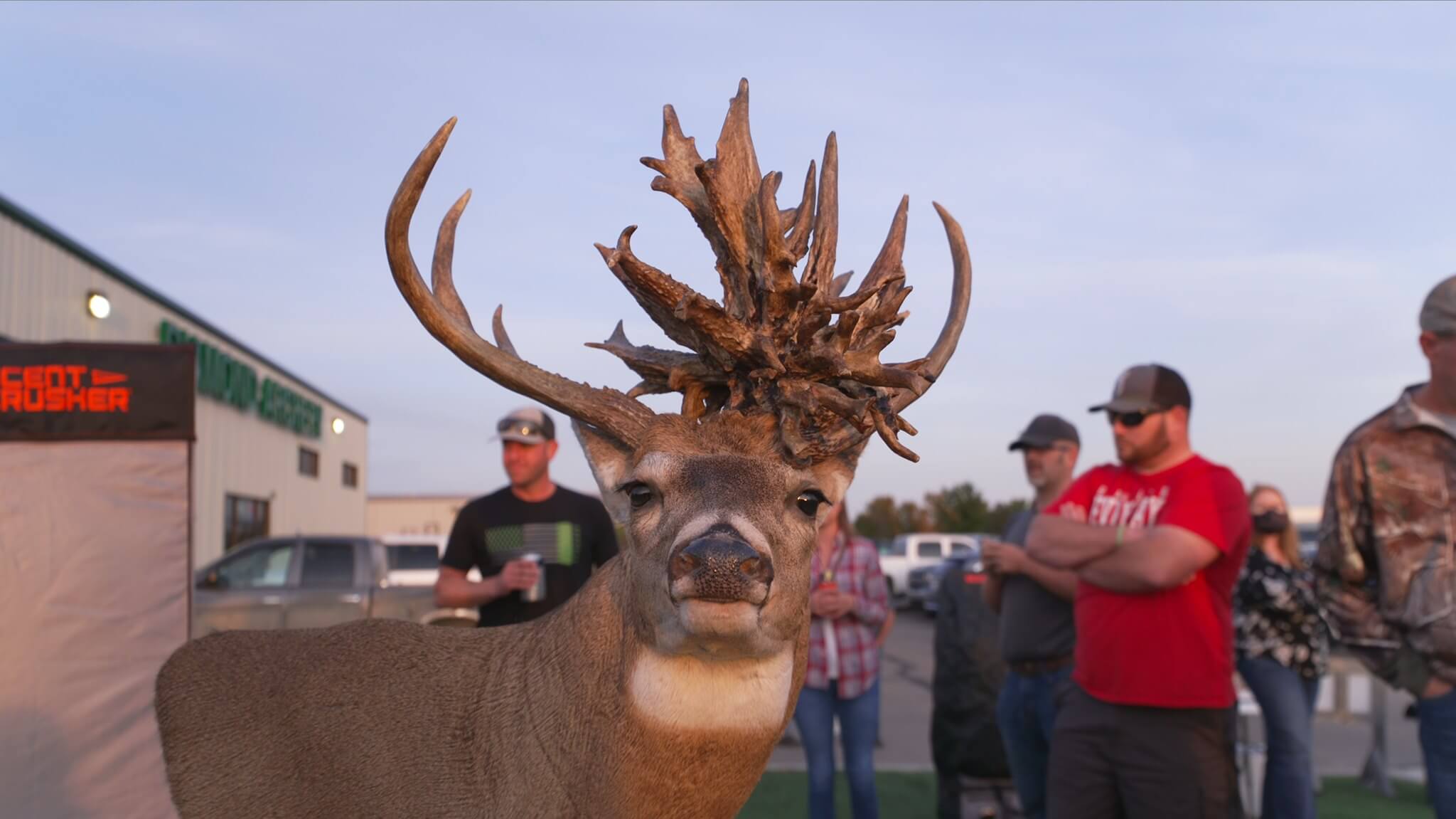 Kansas Buck Officially Deemed Second Largest Nontypical in Bowhunting ...