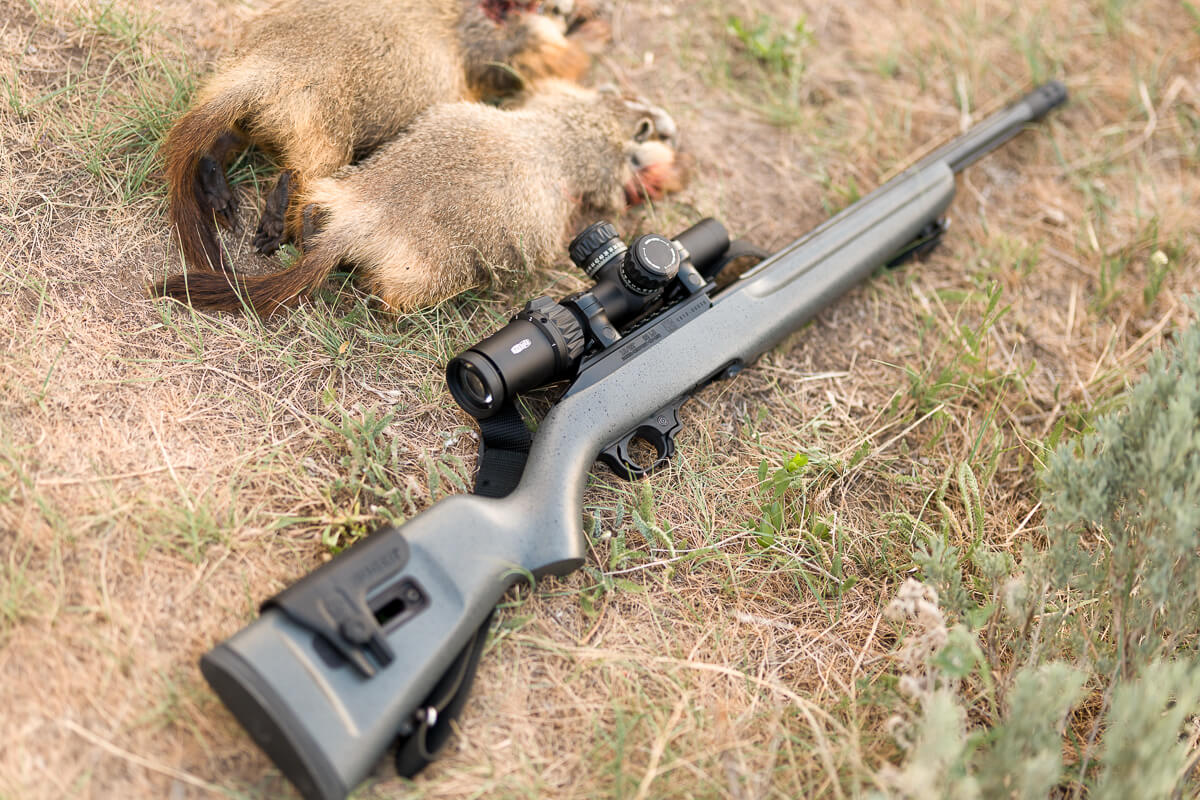 World's First Left-handed 10/22: Ruger's 10/22 Competition Rifle Left ...
