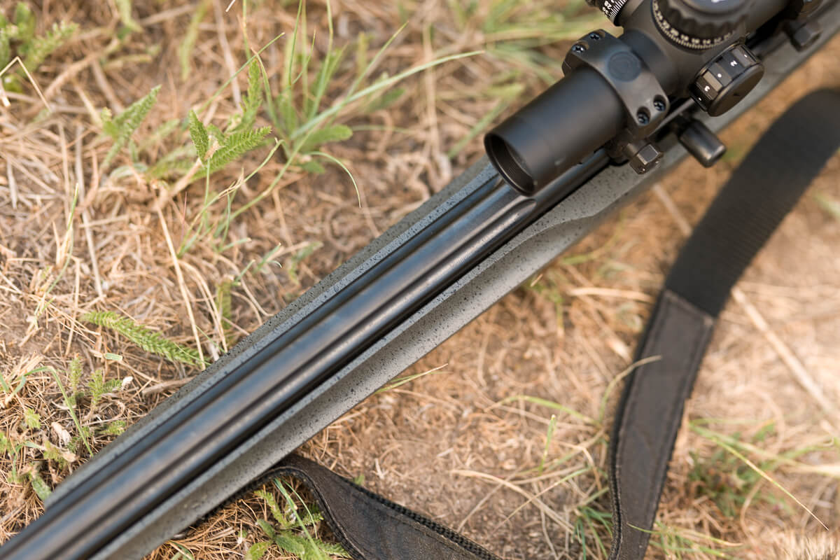 World's First Left-handed 10/22: Ruger's 10/22 Competition Rifle Left ...