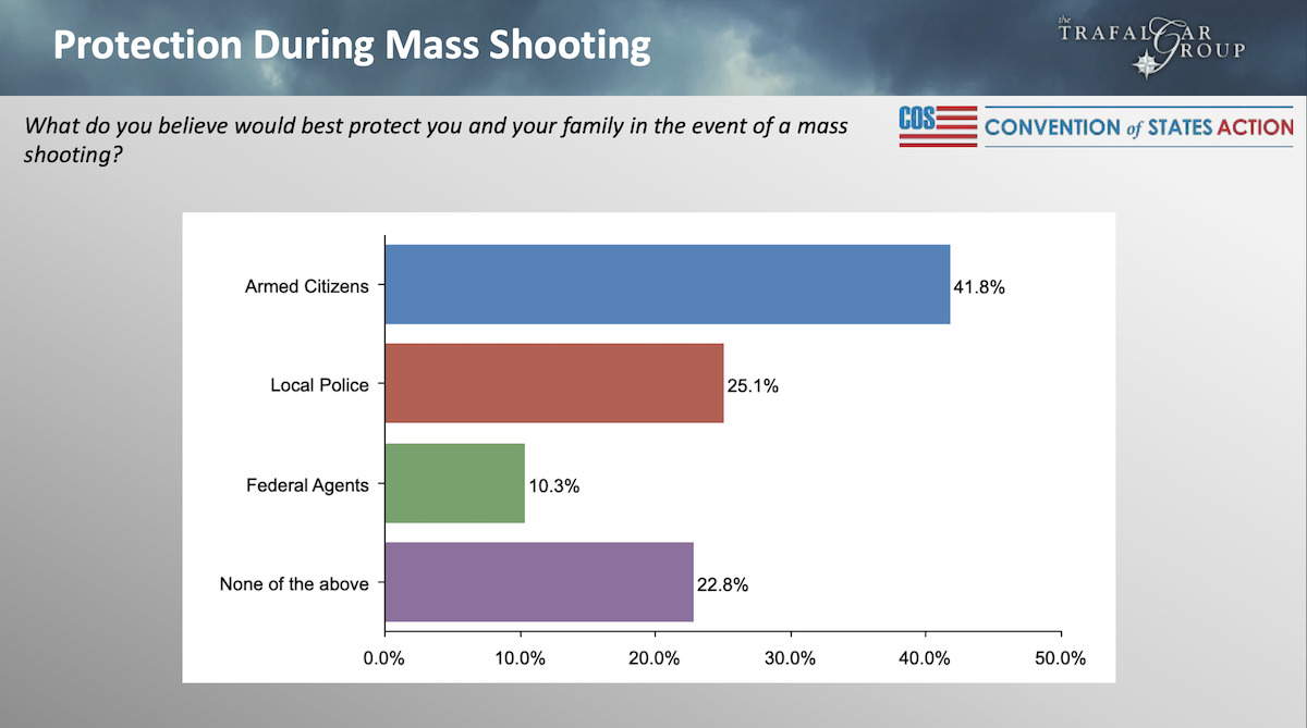Americans Trust Armed Civilians More than the Police