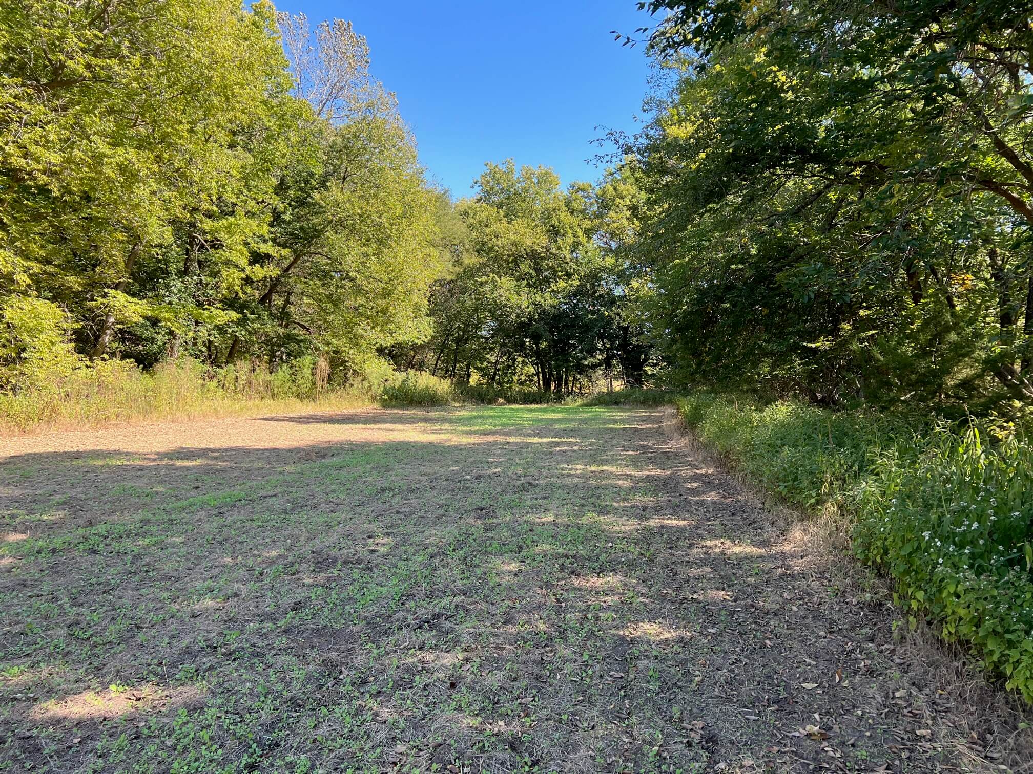 Find Your Spot - Whitetail Tips