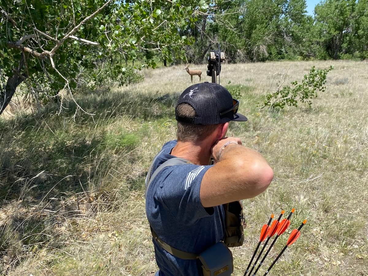 Three Archery Games That Make A Better Bowhunter