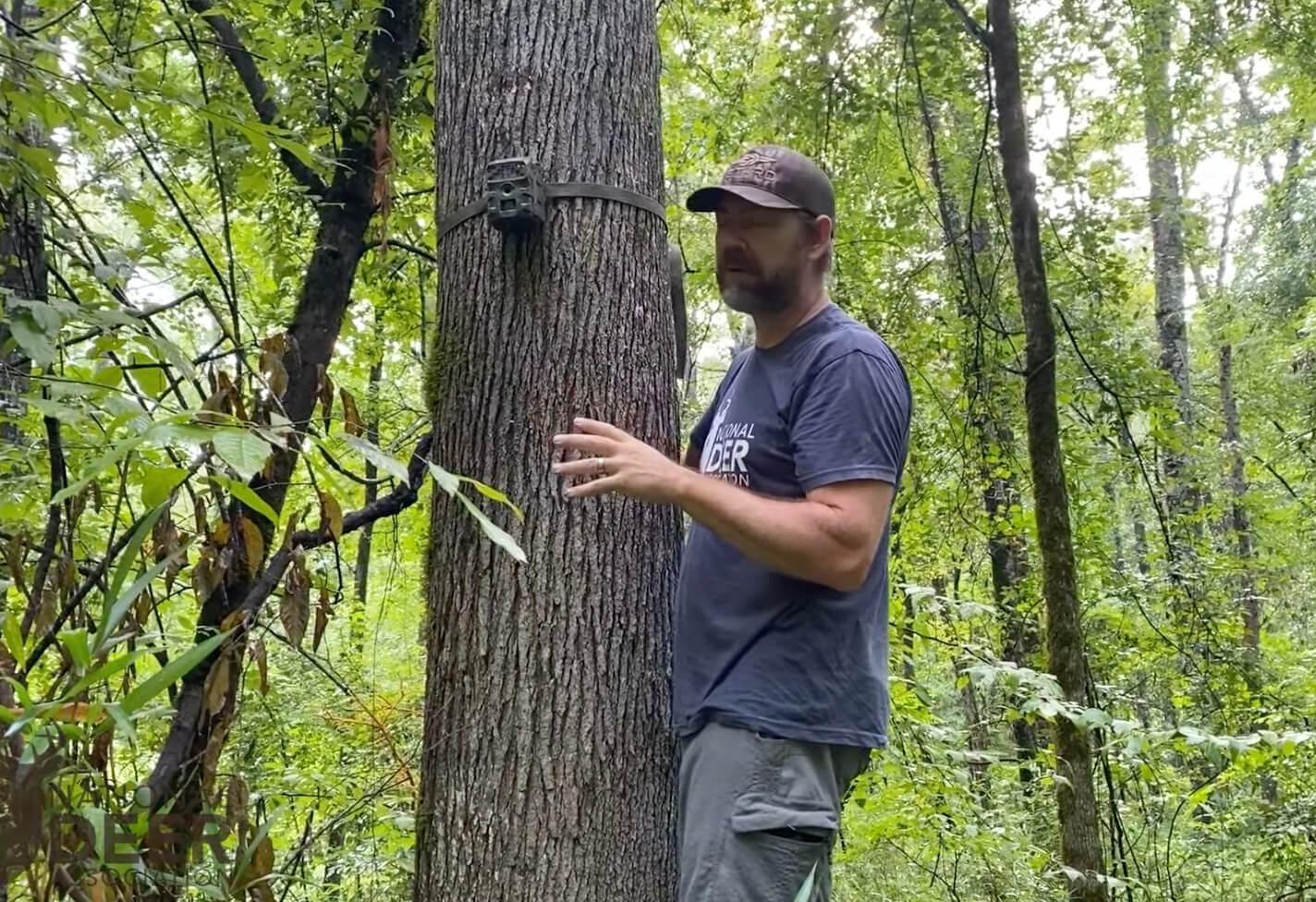 NDA: How to Keep Your Trail Cams Safe on Public Land