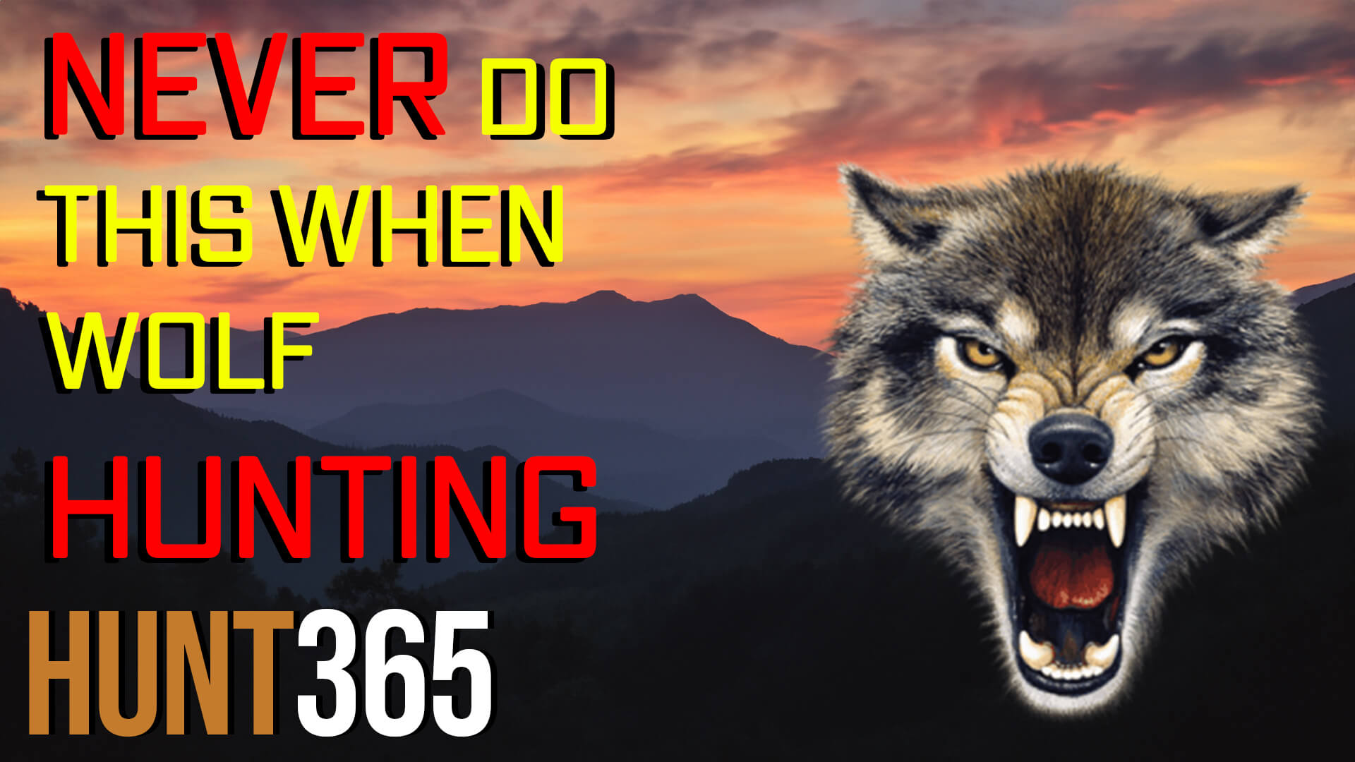 Wolf Hunting Tips and Tricks for Success