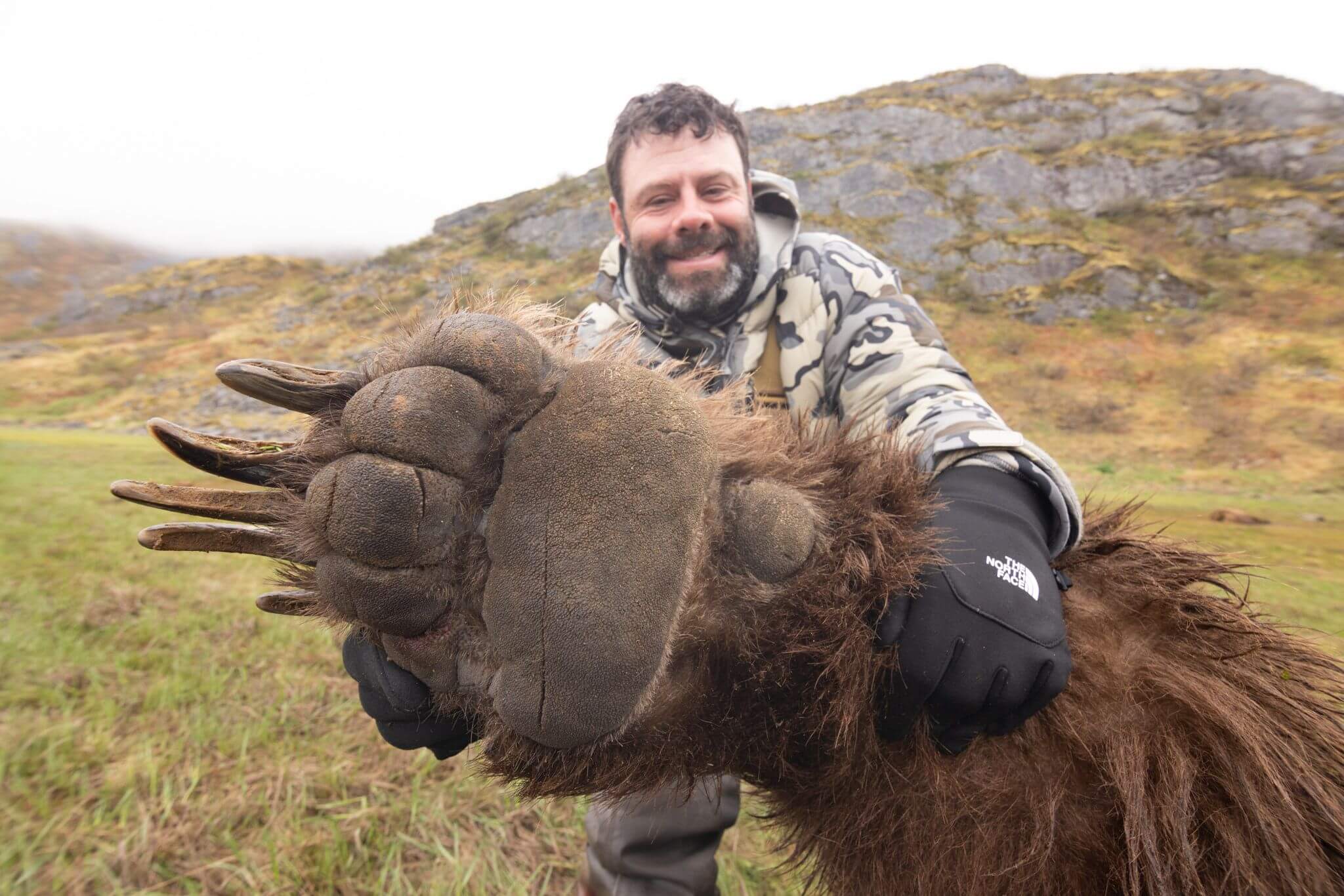 Shootability: What is the Best Handgun for Bears?
