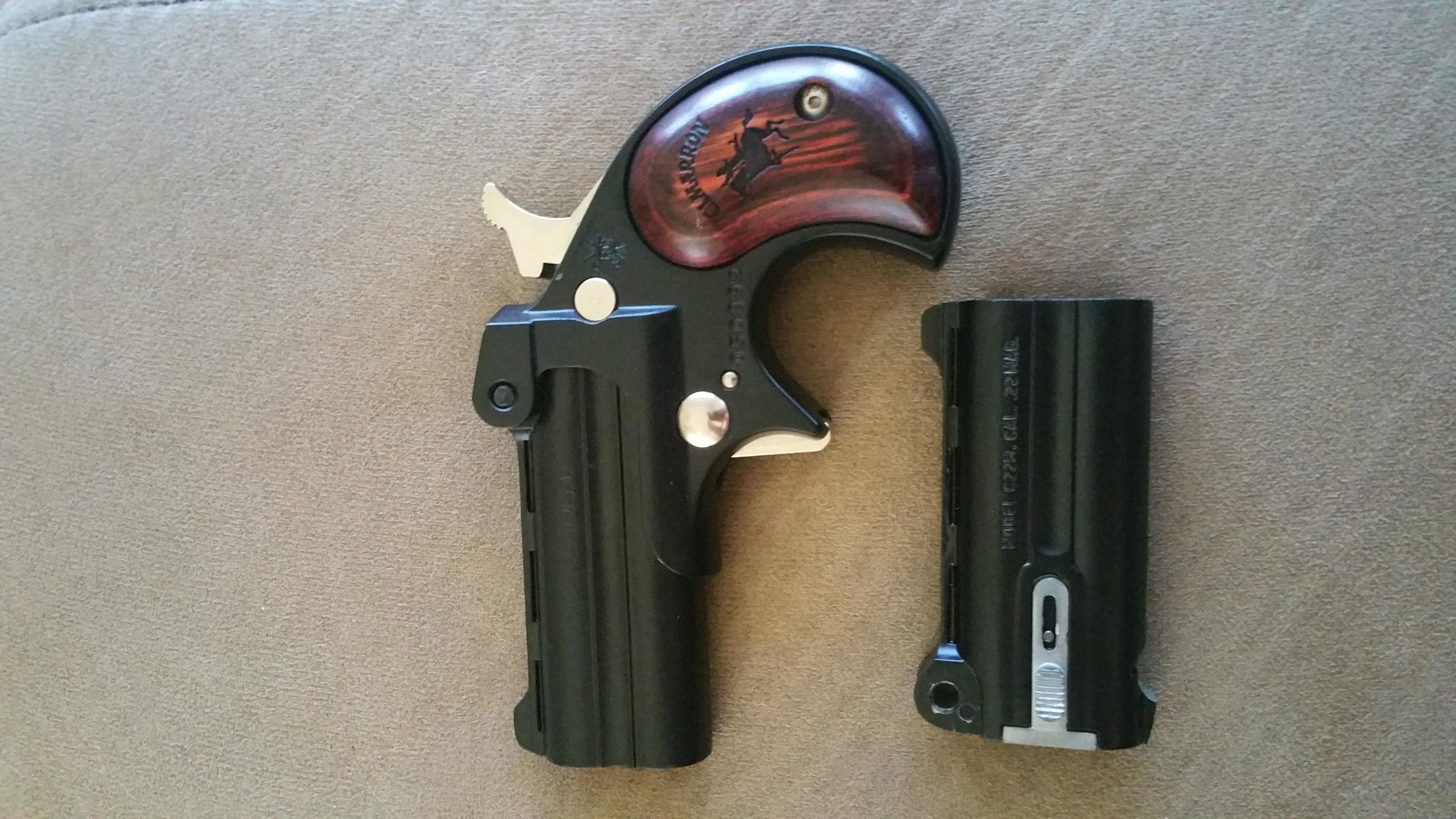 Derringer 22LR for sale