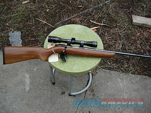remington model 511 w/scope 22lr