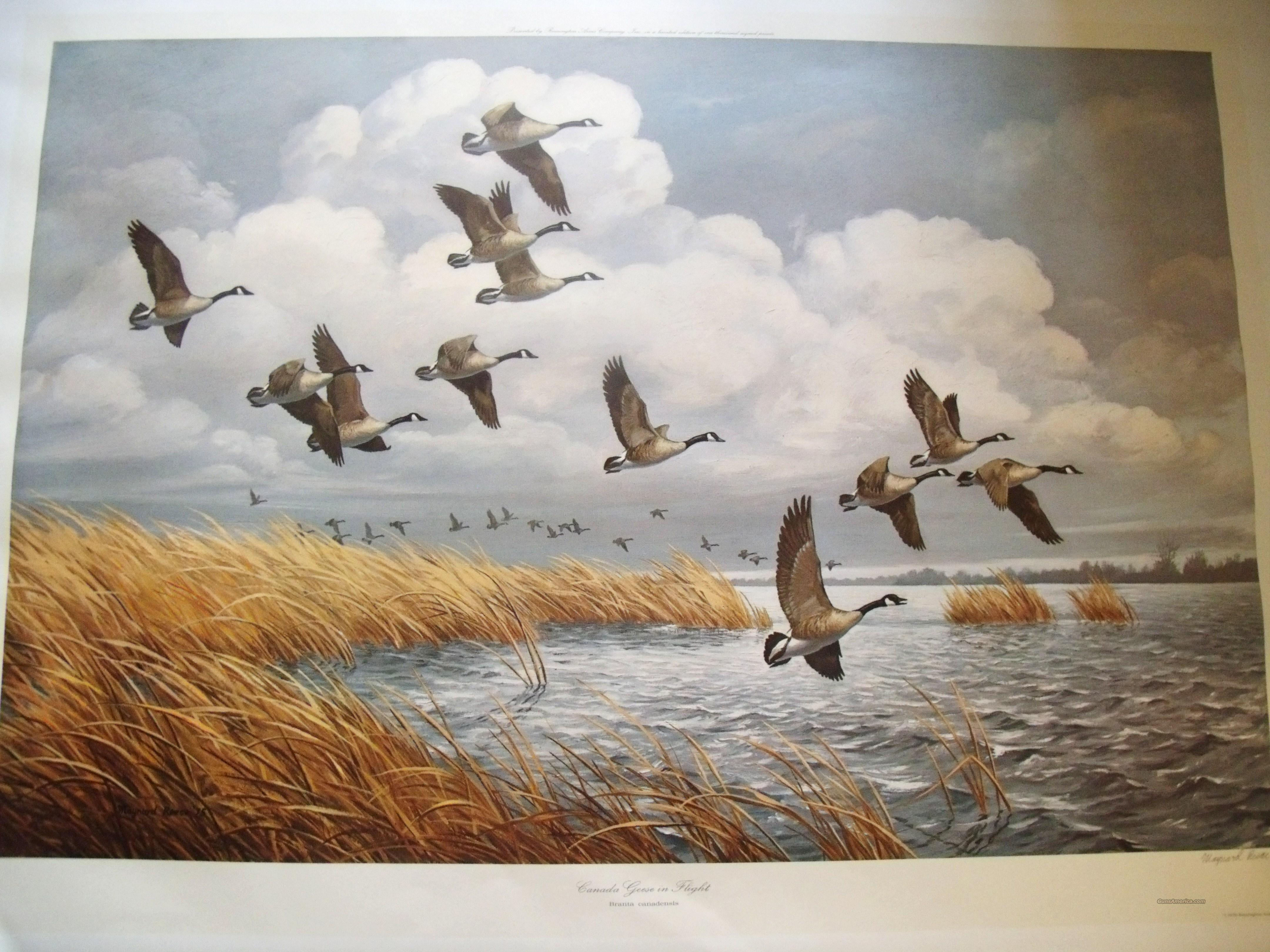 MAYNARD REECE 1976 BICENTENNIAL PRINT for sale